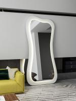 China Hollywood Standing Full Length Xl Floor Mirror With Led Light 71x32 for sale