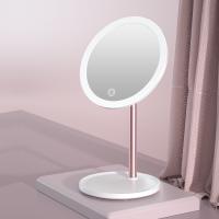 China Led Lighted Cosmetic 10x Magnifying Mirror For Makeup Vanity for sale