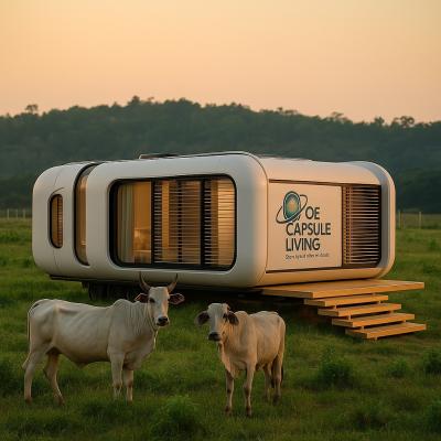 China Soundproof OEM ODM Modular Private Office Pods Outdoor Capsule For Exterior Garden Backyard for sale