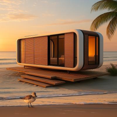 China Modern 20FT/40FT Steel Prefab Pod Contemporary Prefabricated House Living Room Bedroom Mobile Container Space Capsule for sale
