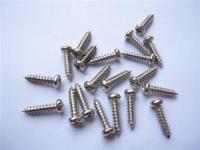 China Zinc Plated Carbon Steel Self Tapping Screws M2.9 to M6.3 DIN 7981 Pan Head for sale
