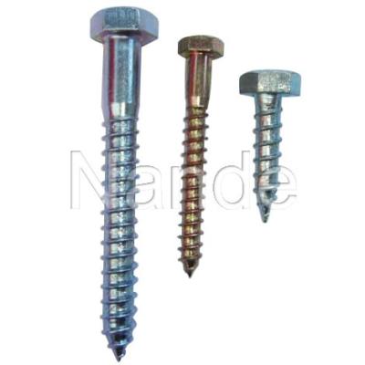 China DIN571 Carbon Steel Hexagon Head Wood Screw M5x10 to M48x300 Grade 6.8 for Construction for sale