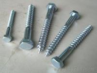China Grade 6.8 Zinc Plated Carriage Bolt DIN603 M5 to M20 Carbon Steel Hardware for sale
