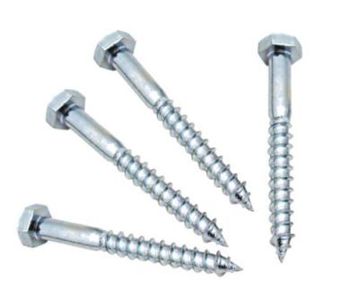 China Grade 6.8 DIN571 Carbon Steel Stainless Steel Coach Bolt M5-M16 16-350mm for Industrial Connections for sale
