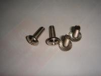 China DIN968 OEM Screw Grade 4.8 Cheese Head Machine Screw For Industrial Applications for sale