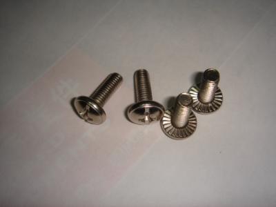 China DIN968 OEM Screw Grade 4.8 Cheese Head Machine Screw For Industrial Applications for sale