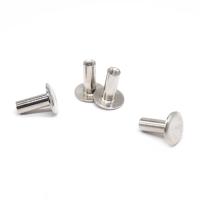 China Internal Thread Stainless Steel Rivet Uncoated Custom Steel Rivets for sale