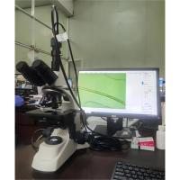 China ISO 137 ISO 17751 Fiber Fineness Meter Analyzer FZ/T 30003 Projection Microscope Method Fiber Diameter Tester Textile Te for sale