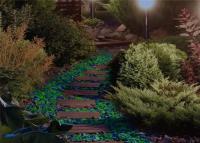 China Corrosion Resistant 12H Afterglow Luminous Stone for sale