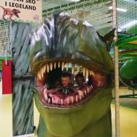China Forest Dinosaur Themed Custom Indoor Playground Shopping Mall Kids Indoor Park for sale