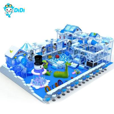 China Custom Indoor Playground Equipment with High Capacity for Commercial Use and OEM/ODM Support for sale