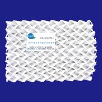 China White Glazed Ceramic Structured Packing 24.0KN Tower Packing for sale