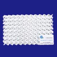 China 250Y Ceramic Structured Packing for sale