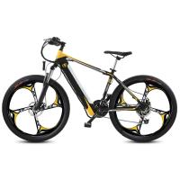 China 27kg 750 Watt Electric Mountain Bike 48V Mountain Bike With Battery Assist for sale