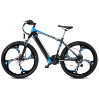 China 27kg 750 Watt Electric Mountain Bike 48V Mountain Bike With Battery Assist for sale