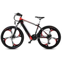 China 27kg 750 Watt Electric Mountain Bike 48V Mountain Bike With Battery Assist for sale
