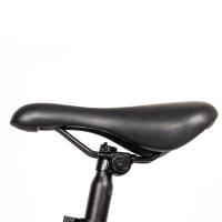 China Multimode Off Road Electric Mountain Bike 150kg Max Loading 1.95 Tires for sale