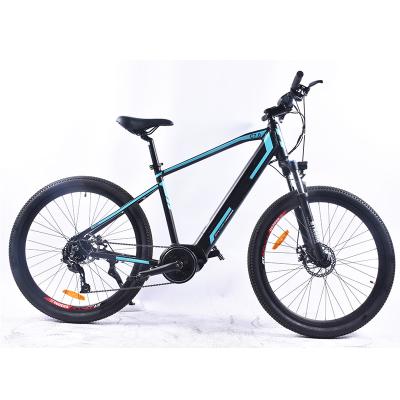 China Allloy Off Road Folding Electric Bike25KMH Max Speed Multifeature for sale
