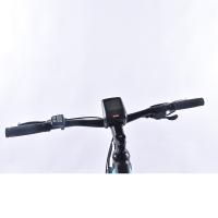 China Allloy Off Road Folding Electric Bike25KMH Max Speed Multifeature for sale