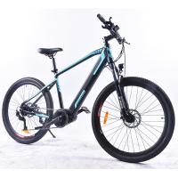China Allloy Off Road Folding Electric Bike25KMH Max Speed Multifeature for sale