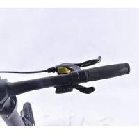 China 350 Mid Driver Motor 36v10ah Good Capacity Li-Ion Battery Electric Folding Bike for sale