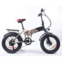 China Emissionfree Folding Electric Mountain Bike 750w With 20 Inch Fat Tires for sale