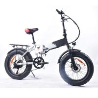 China Emissionfree Folding Electric Mountain Bike 750w With 20 Inch Fat Tires for sale