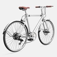 China 40 Miles City Commuter Electric Bike , Preassembled Urban Electric Bicycle for sale