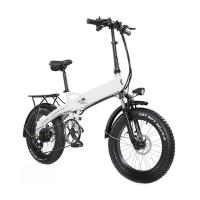 China 350W Folding Electric Bikes For Adults , 20