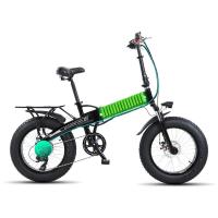 China 350W Folding Electric Bikes For Adults , 20