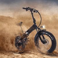 China 350W Folding Electric Bikes For Adults , 20