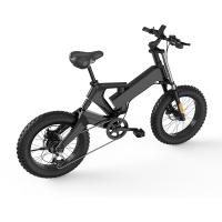 China 20 Inch Fat Tire Electric Folding Bike AC100v With 10AH Lithium Battery for sale