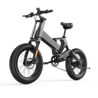 China 20 Inch Fat Tire Electric Folding Bike AC100v With 10AH Lithium Battery for sale