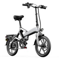 China 2021 Ce 500w 250w 48v 20inch Adult City Small E Cycle Folding E-Bike E Bike Electric Bike Bicycle for sale