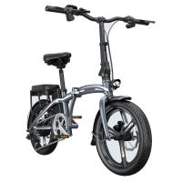 China 20 Inch Electric Bike Steel Frame Fork 48V 250W Shimano 7 Speed Folding E Bike Electric Bicycle for sale