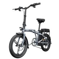China 20 Inch Electric Bike Steel Frame Fork 48V 250W Shimano 7 Speed Folding E Bike Electric Bicycle for sale