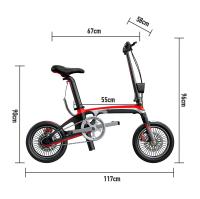 China Carbon Fibre Lightest Folding Electric Bike 250W With Sealed Axis for sale