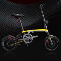 China Carbon Fibre Lightest Folding Electric Bike 250W With Sealed Axis for sale
