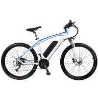 China 48T Alu Lightweight Electric Hybrid Bike Dualwalled Rims 1000W for sale