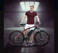 China 48T Alu Lightweight Electric Hybrid Bike Dualwalled Rims 1000W for sale