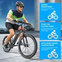 China 48T Alu Lightweight Electric Hybrid Bike Dualwalled Rims 1000W for sale