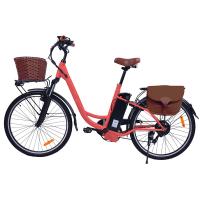 China Steel Frame Cargo E Bike Multiapplication 120kg Maximum Loading for sale