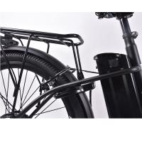 China Steel Frame Cargo E Bike Multiapplication 120kg Maximum Loading for sale
