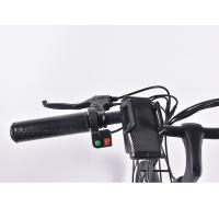 China PAS Electric Cargo Bicycle 250W 36V With 10000mAh Lithium Battery for sale