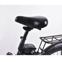 China PAS Electric Cargo Bicycle 250W 36V With 10000mAh Lithium Battery for sale