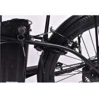 China 250W Electric Assist Cargo Bike , KMC Chain Urban City Electric Bike for sale