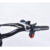 China 6Speed Fat Wheel Folding Electric Bike , 120KG Load Folding Mountain Ebike for sale