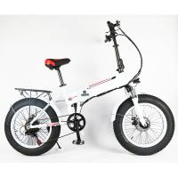 China 20 Inch Fat Tire Electric Folding Bike 140x34X70CM For Multiapplication for sale