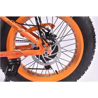 China 30KG Net Wight Folding 20 Inch Electric Bike , 25km/H Fat Tire Folding Bikes for sale
