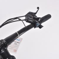 China 7speed Fat Tire Electric Hunting Bike 40Miles Endurance For Unisex for sale